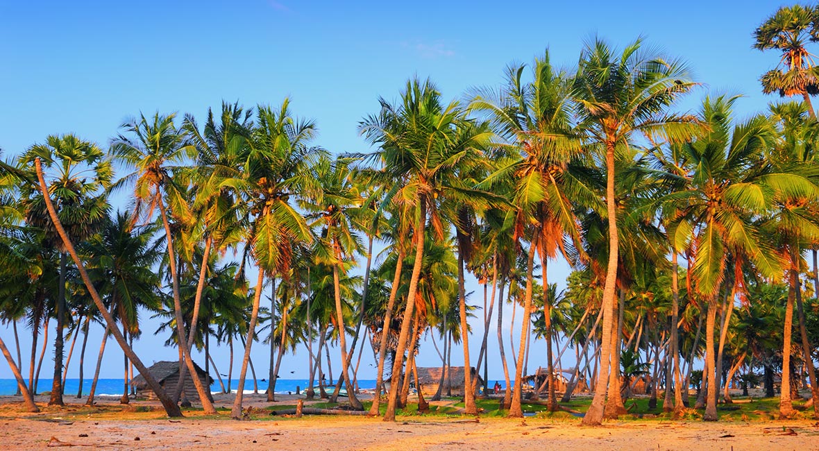 All Around the Island: 5 Must-See Sri Lankan Beaches - Travelogues from ...